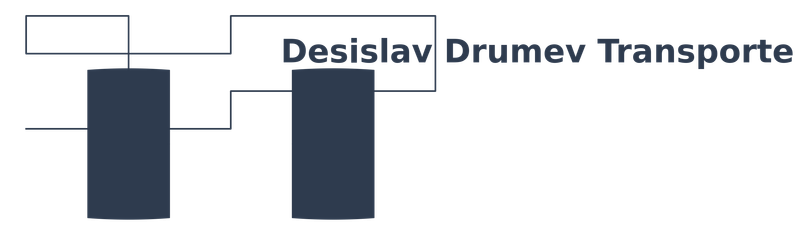 desislav drumev transporte umzug