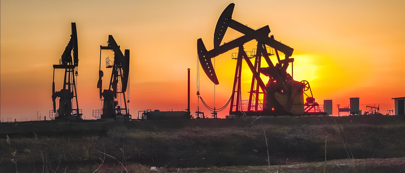 Oil cable protector - Shield every cable, defy oil's assault— Panda Oil ...