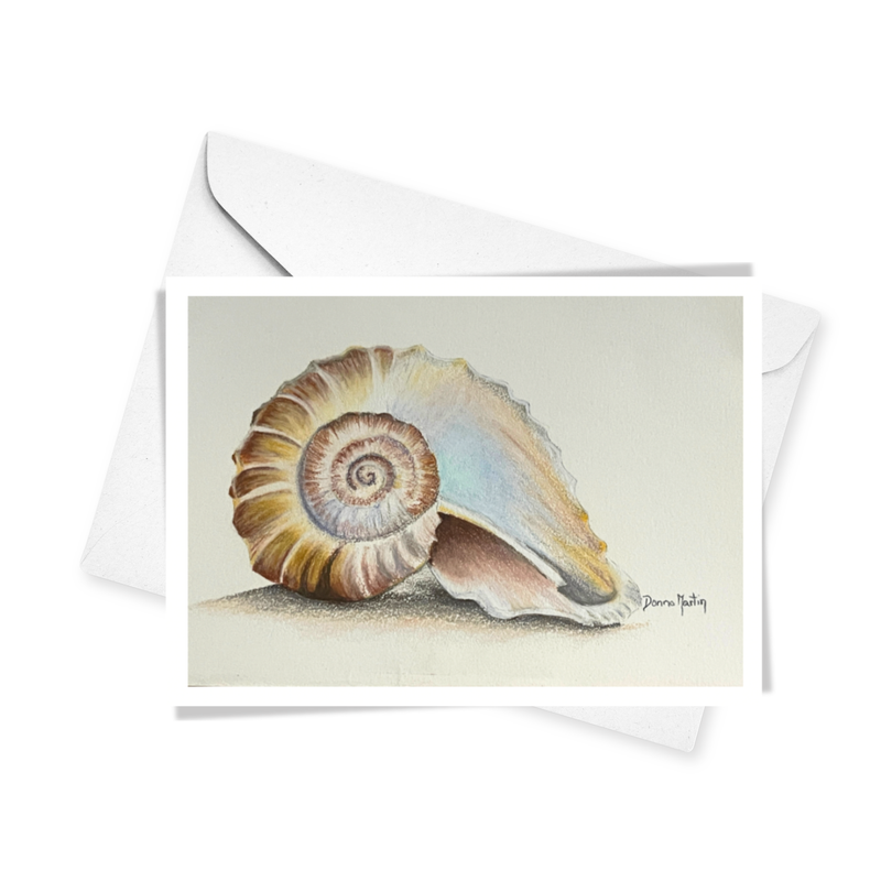 Harp Shell - DD DESIGNS Online