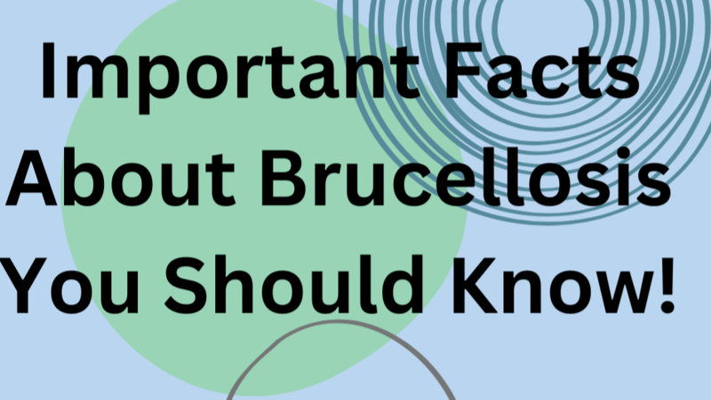 What is Brucellosis? Important Facts You Should Know! - D-ACE MEDICAL ...