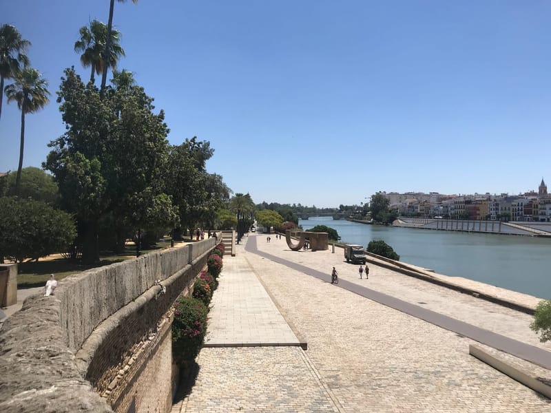 drsararitchie - DR SARA RITCHIE Primary Care Doctor