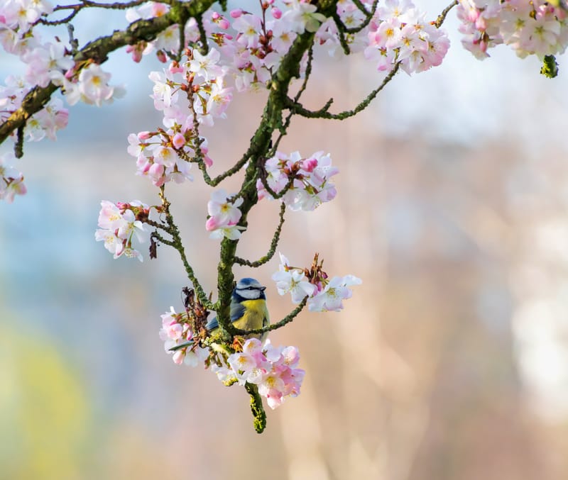 Captivating Curves - Peter Slagmolen - fotografie