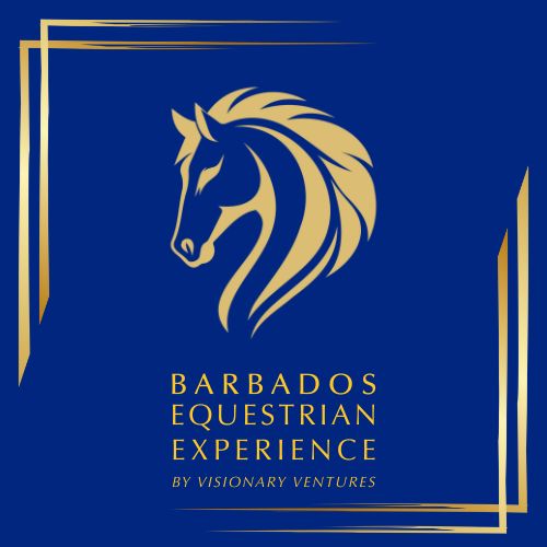 Barbados Equestrian Experience | Horseback Riding | Island Experience