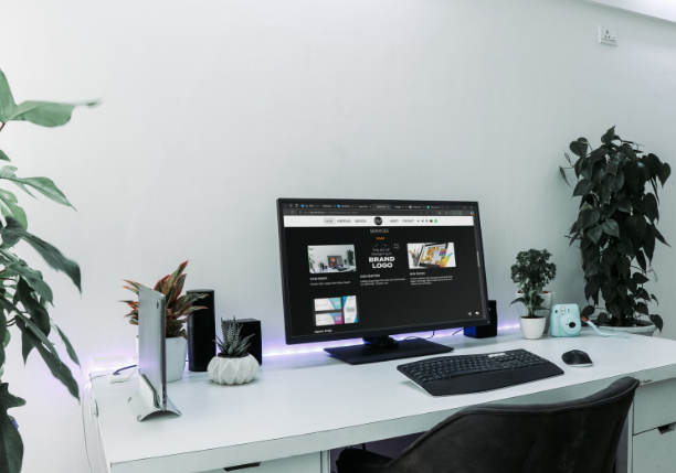 Professional Web Design & Branding | Gala Visual