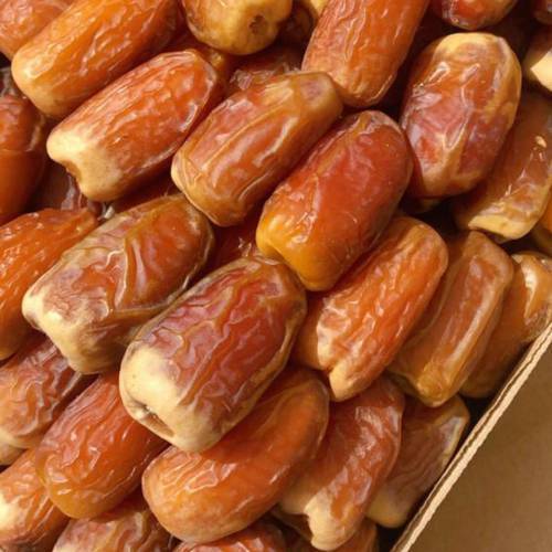 Saudi Dates Export | Premium Saudi Dates for Global Markets