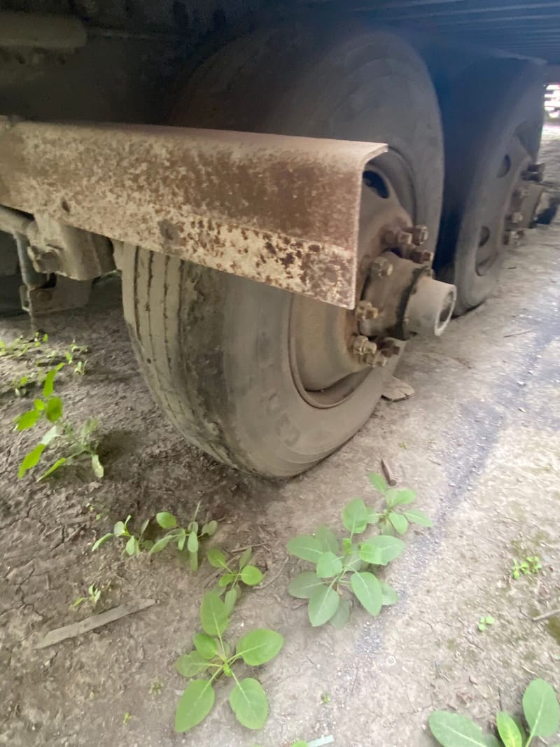 Caja Seca 53 Pies Triplay - SALTUS LOGISTICS