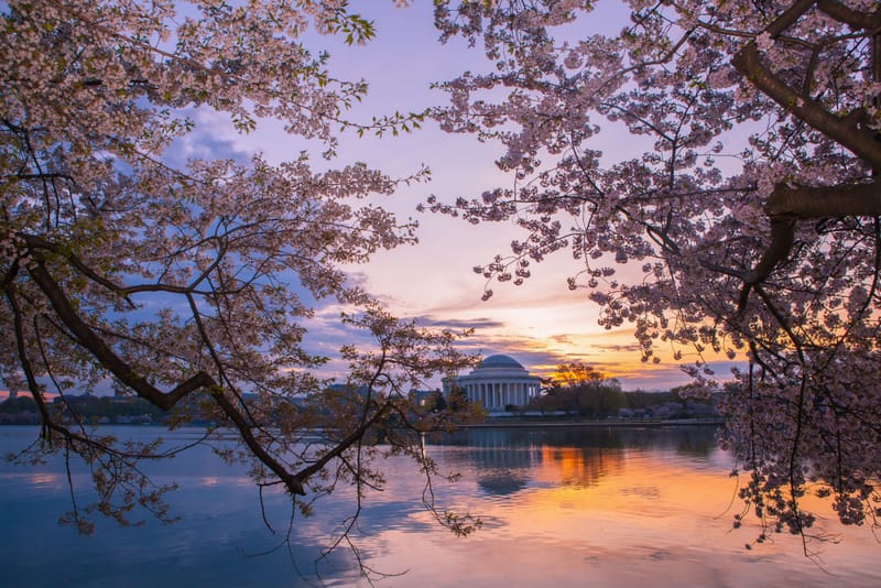 Secure Docs - Secure File Sharing and Collaboration From Anywhere