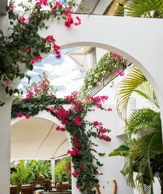 Body Factory Bali: Elite Fitness & Wellness Retreat in Canggu ...