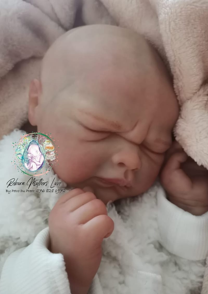 Frida Asleep - Reborn Mother's Love