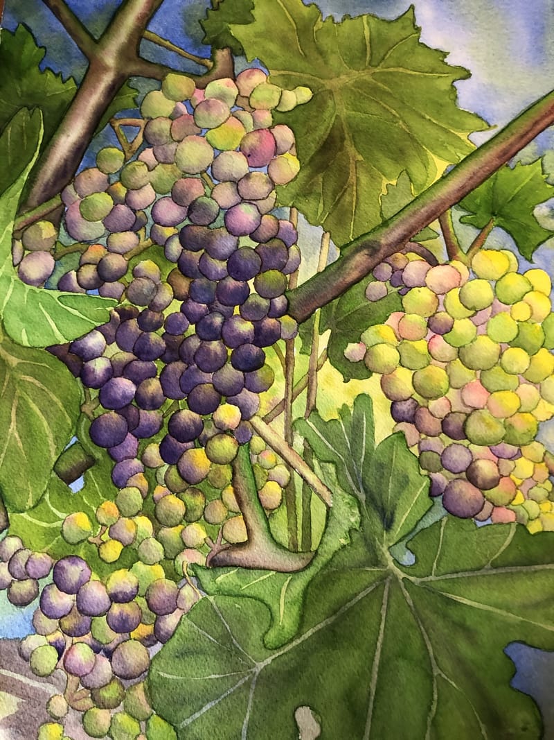 Sarah Scott Falk Artist