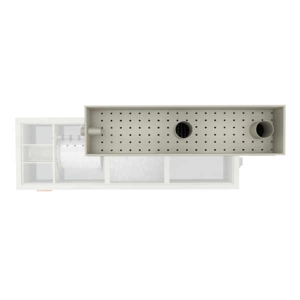 Howie Koi Dorset aquatic shop Dorchester aquatics Fish uk for sale aqu