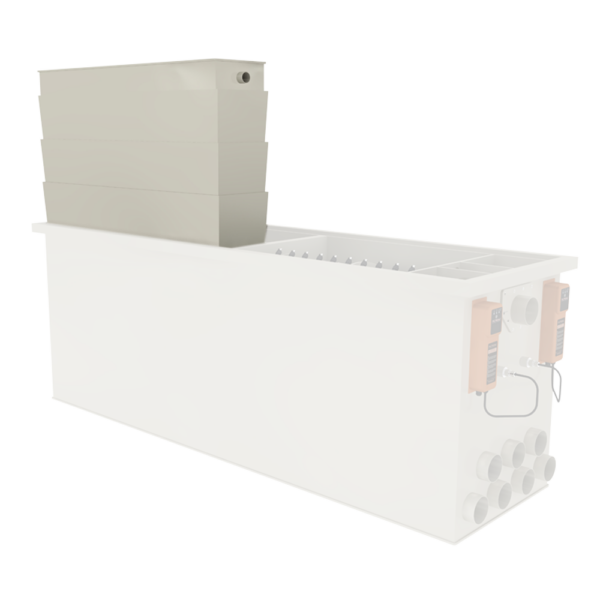 Howie Koi Dorset aquatic shop Dorchester aquatics Fish uk for sale aqu