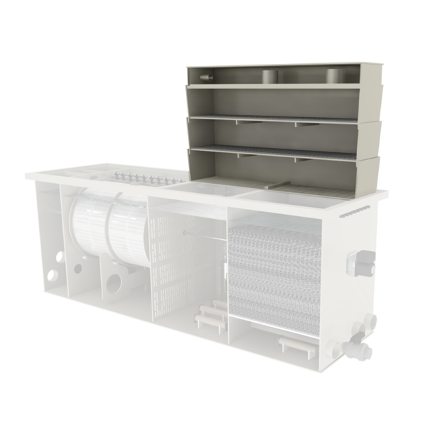 Howie Koi Dorset aquatic shop Dorchester aquatics Fish uk for sale aqu