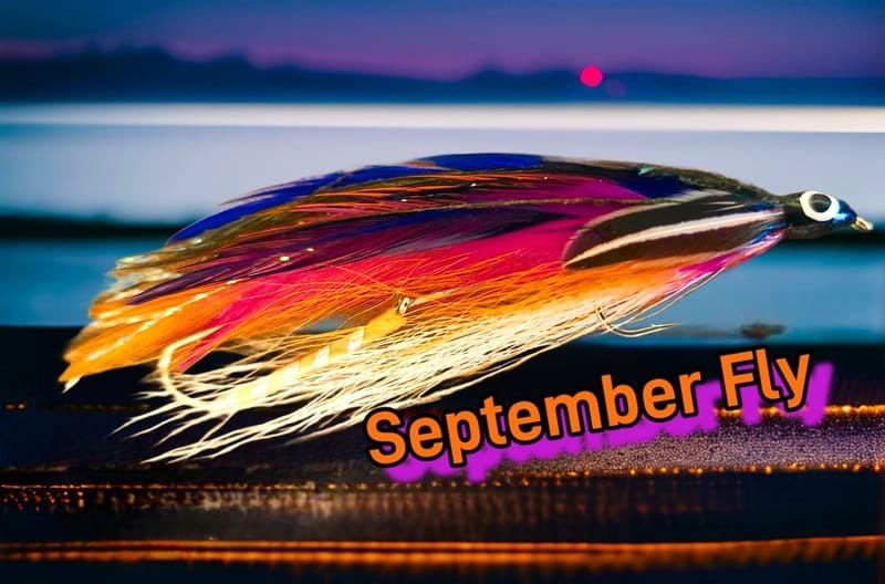 September Fly - LAKESIDE FLIES