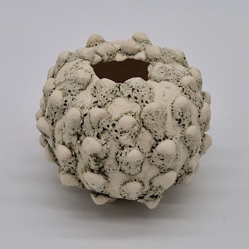 Medium Pod 7 - GALLERY 1608