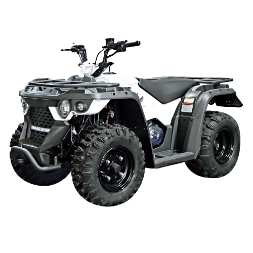 Linhai Rustler M170 2x4 - Rocket Racing PMB