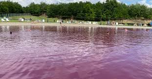 Lacul roz de la Pacir-Serbia - BăiTermale.com