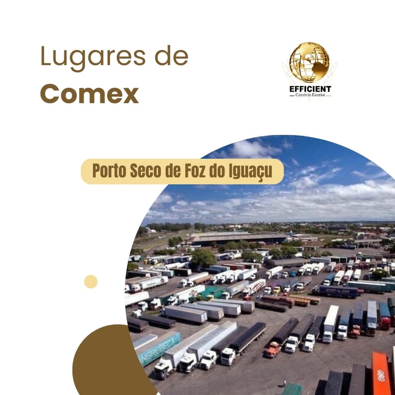 Porto Seco de Foz do Iguaçu: Um Hub Logístico Estratégico para o ...