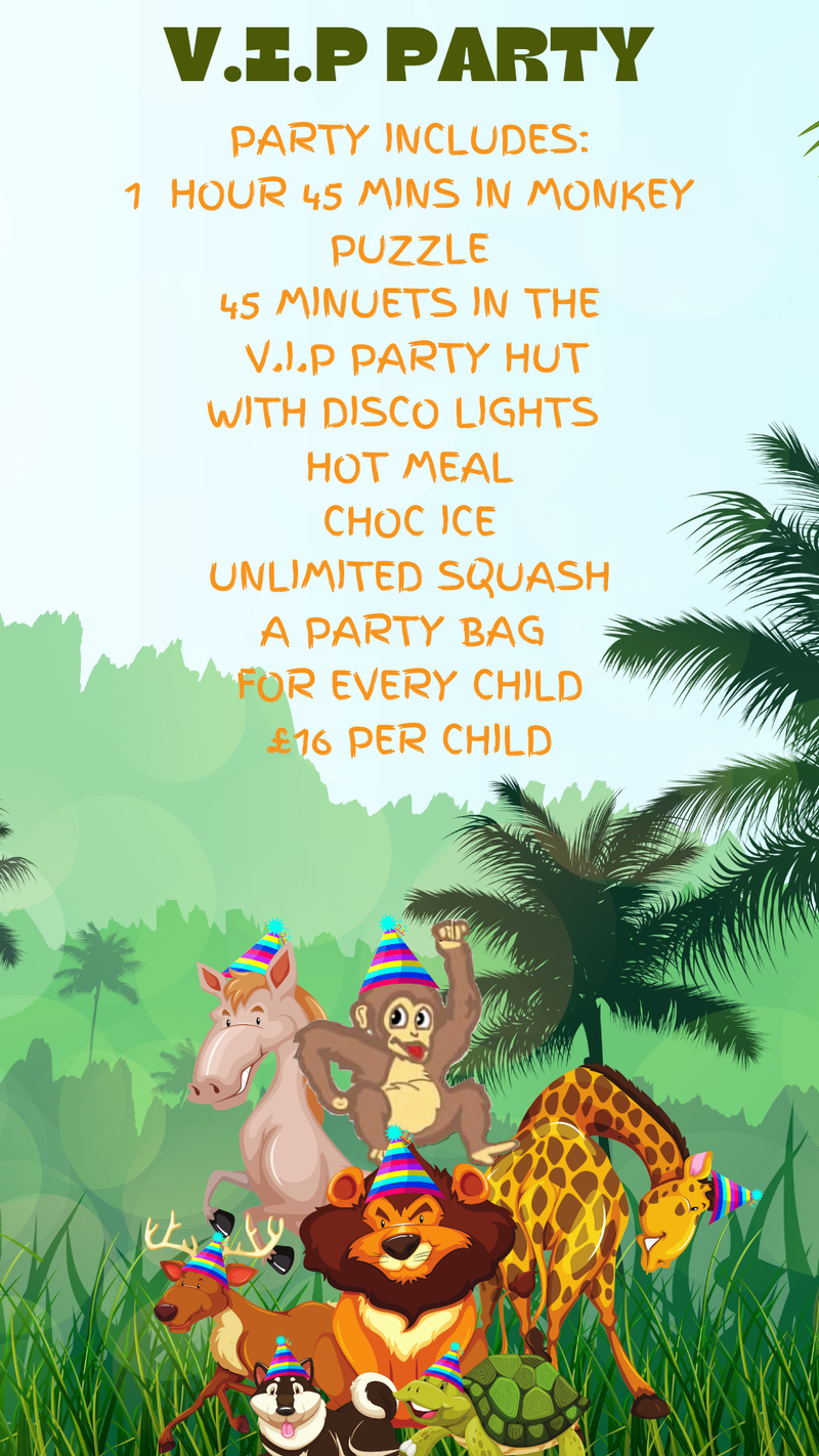 V.I.P Party - Madison Heights