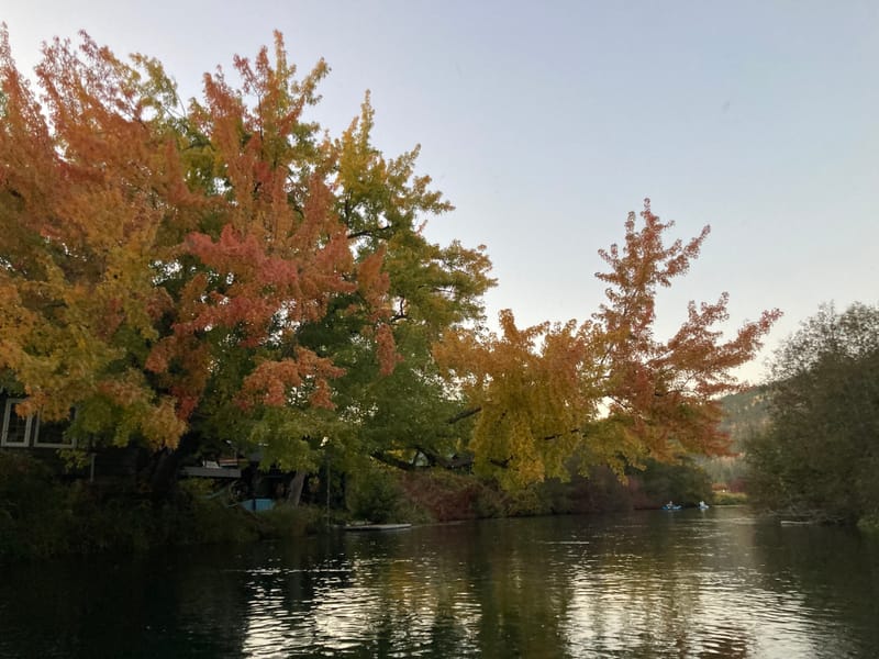 HEIDI LASHER - Freelance Writer & Editor