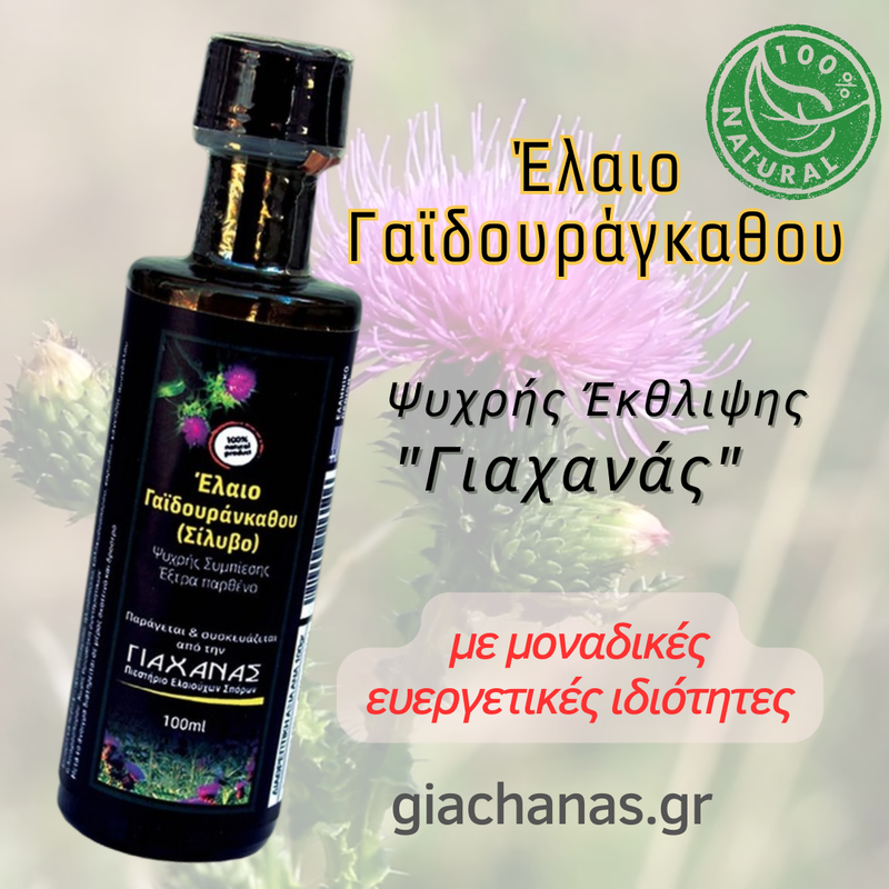 Το Άγνωστο Γαϊδουράγκαθο: Ένα Φυτικό Διαμάντι με Αξιοθαύμαστα Οφέλη