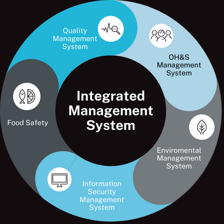 Standalone ISO Systems to an Integrated Management Systems Transition