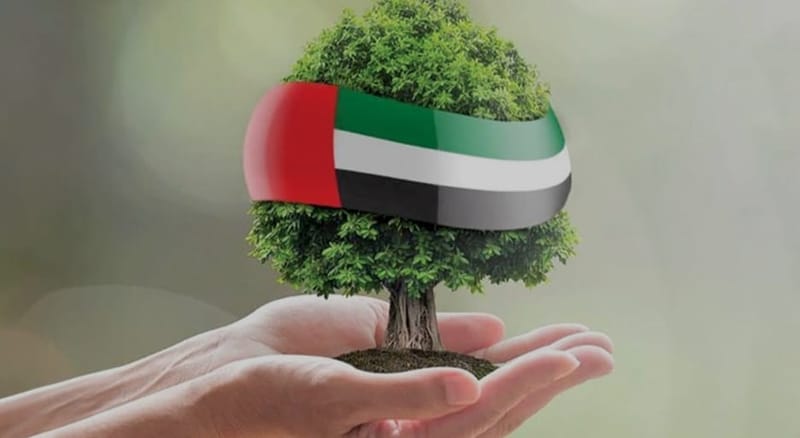 UAE Leads Sustainability Efforts Amidst Climate Change: A Global Compa