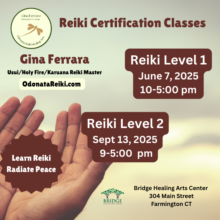 Reiki Level 1 Certification Class-VIRTUAL-May 31, 2025