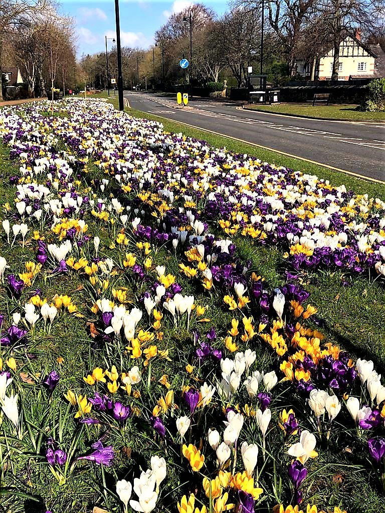 Woolsington Parish Council