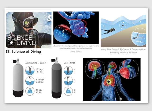 SSI SCIENCE OF DIVING SPECIALITY - SSI, PADI, BSAC & RAID Dive Centre