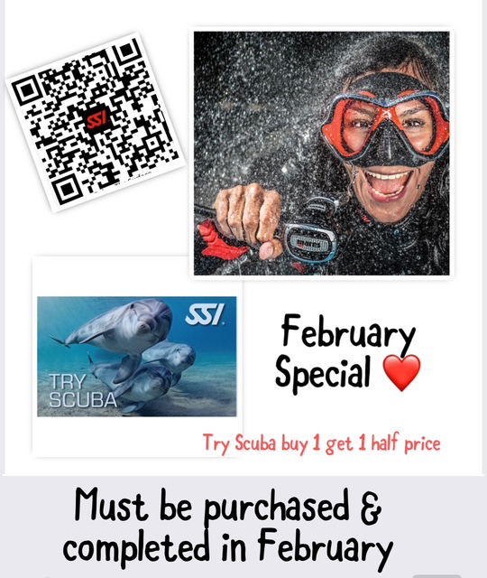 SSI TRY SCUBA FEBRUARY SPECIAL BUY ONE GET ONE HALF PRICE. ( This must ...