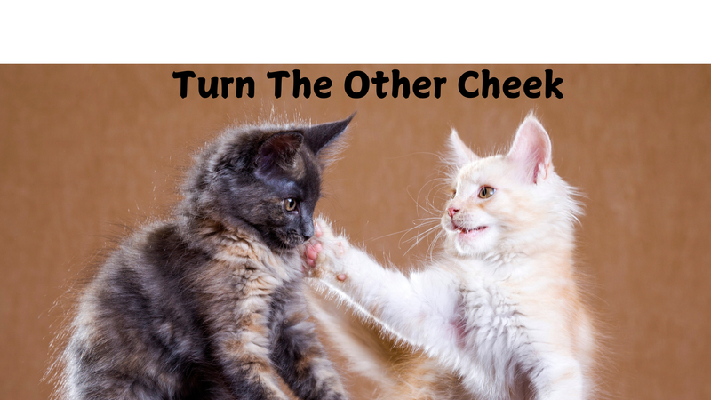 Learn 4 Ways To Turn The Other Cheek
