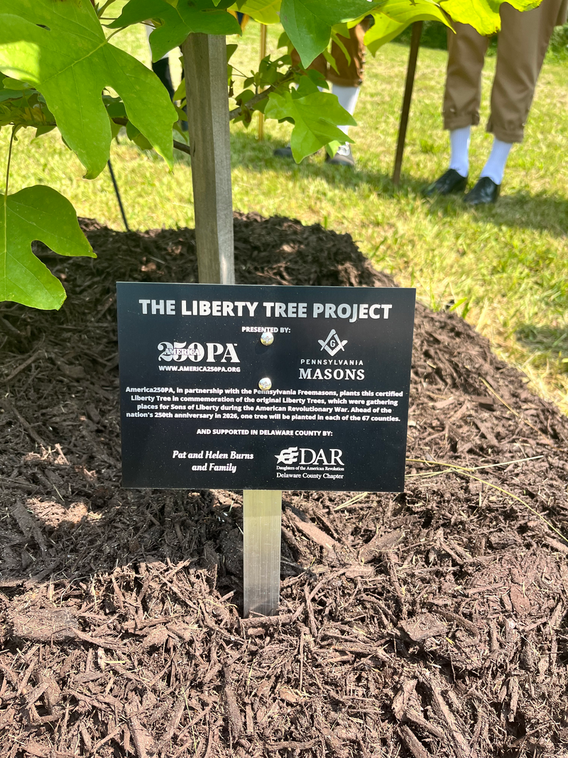 Liberty Tree Planting Ceremony at Brandywine Battlefield ...