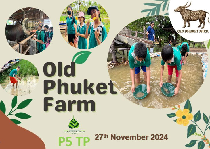 Old Phuket Farm, P5 Field Trip, 27th November 2024 - P5TP@Kajonkiet