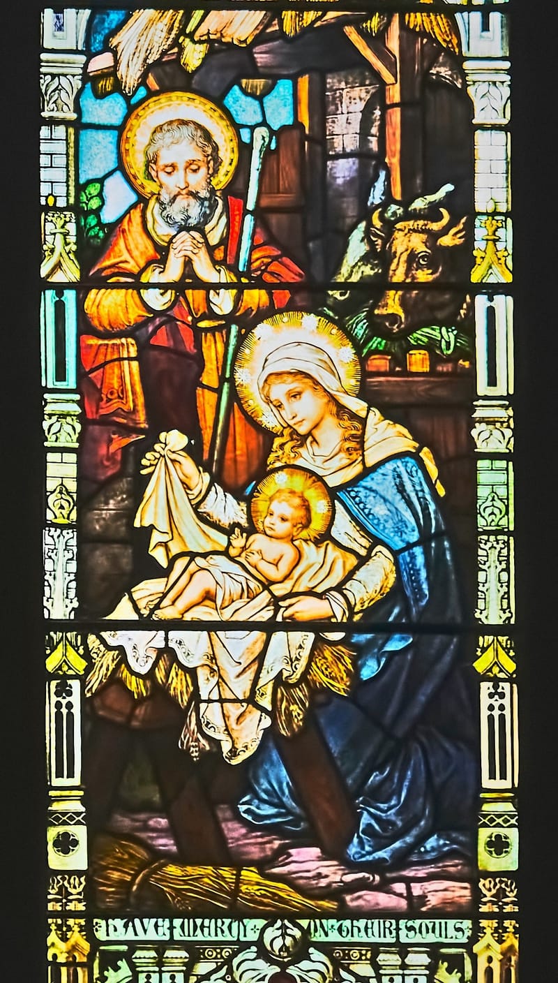 Feast of the Holy Family - Sbear-A-Life