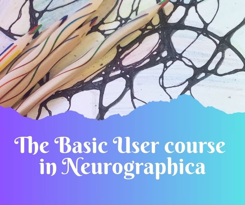The Certified Basic User in Neurographica Refresher course 2024 with Supervision and ...