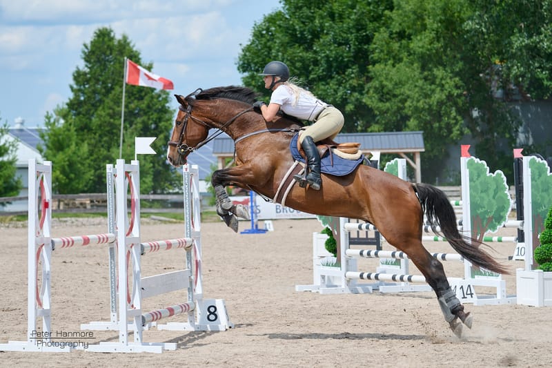 Harmony Hills Equestrian Center