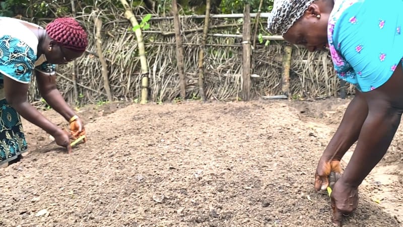 RELATÓRIO FINAL DE SEGUIMENTO DAS 4 FILEIRAS APOIADAS NO QUADRO DO ...