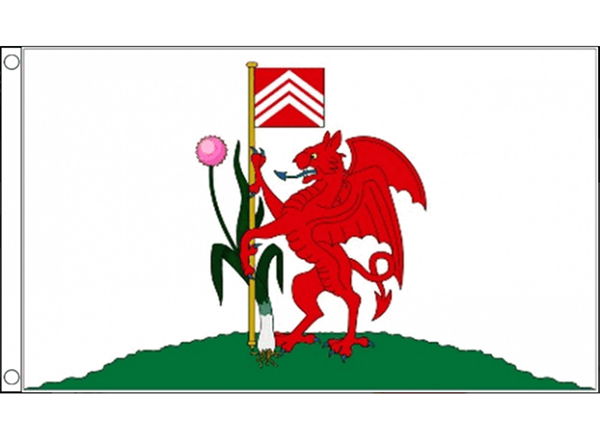 Cardiff Flag 5ft x 3ft - skyblue leisure