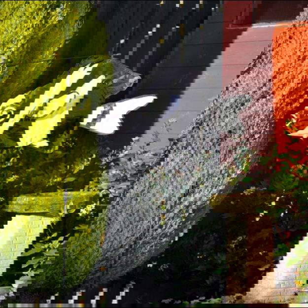 Damsel Fish - Wind Swimmer Windsock - skyblue leisure