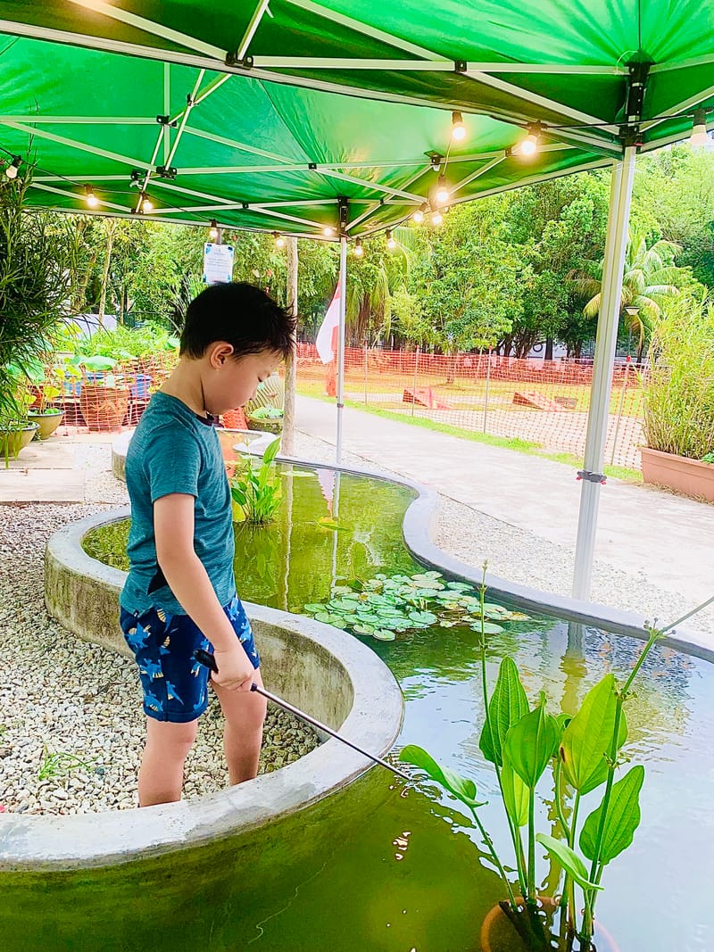 Nature Kindred | Kid-Friendly Fishing, Planting, Fossil Digging