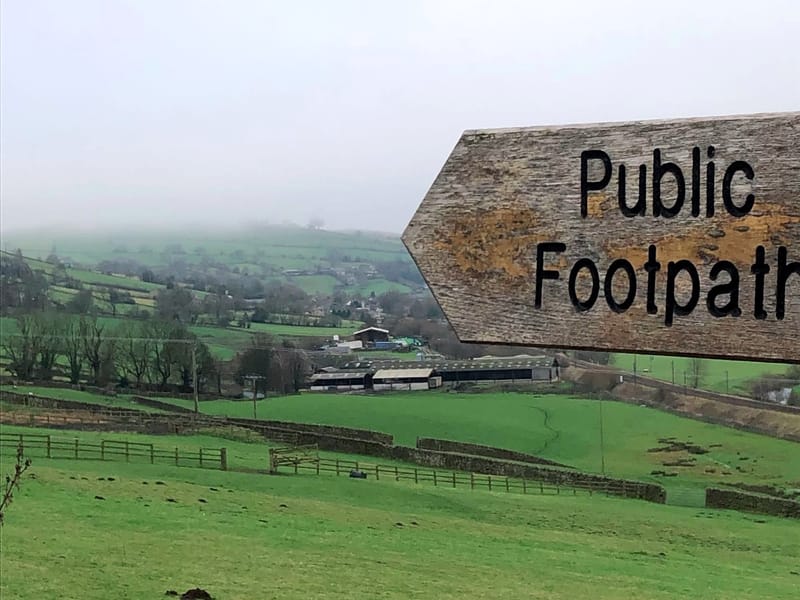 Walking alone but with hope - Andrew Mosley • Author/Writer