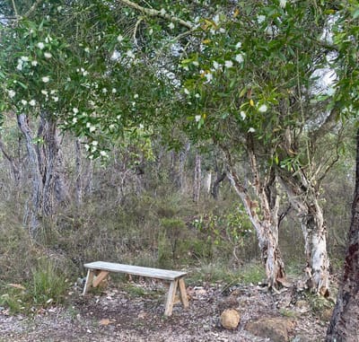 AUSSIE TALLOW Australian Organic Grass-fed and finished Tallow