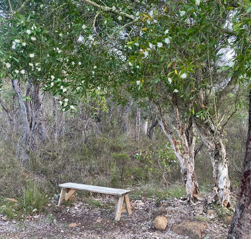 Spring is Fast Approaching! - Aussie Tallow