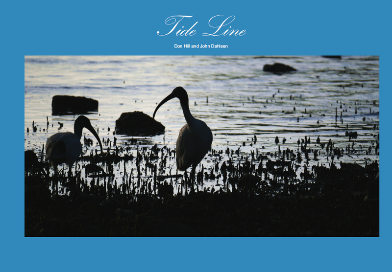 Tide Line (Third Edition) Free Shipping within Australia - Don Hill