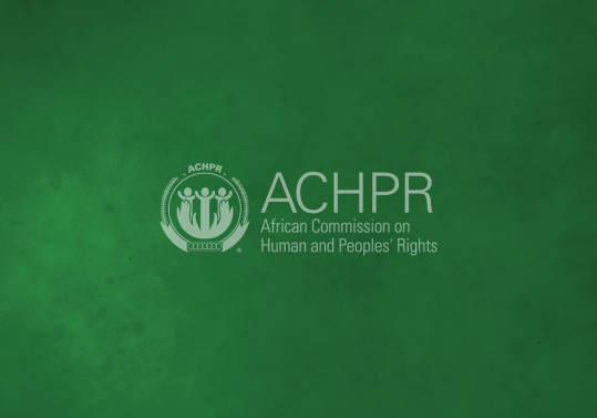 Briefing on the Human Rights Situation in Sudan to the African ...