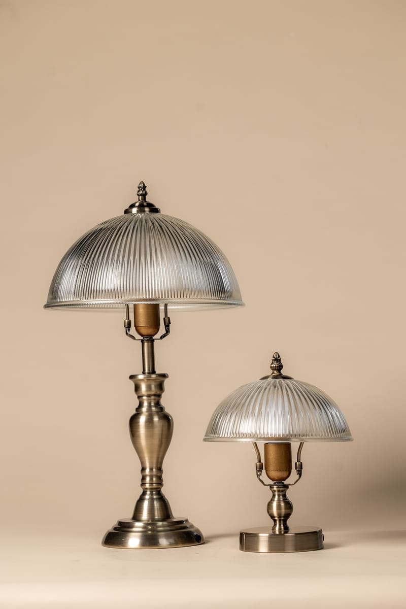 mushroom - Offir MG Design