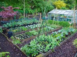 The "Apprentice" Spanish Gardener - Help me, Ronda