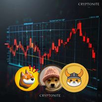 Dogwifhat, Bonk, and FLOKI Surge: Analysis of Top Dog-Themed Meme Coin