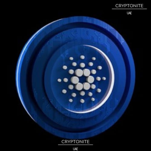 Cardano Chain Split: What Happened & Network's Fast Response